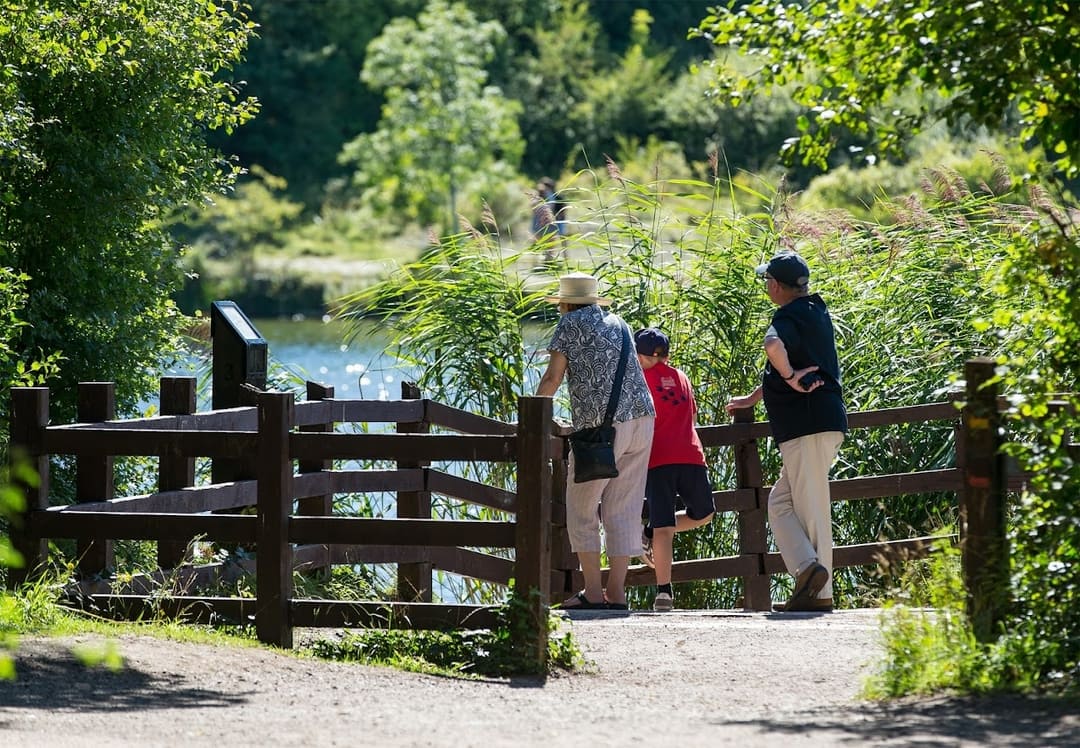 Cosmeston Country Park | Visit The Vale