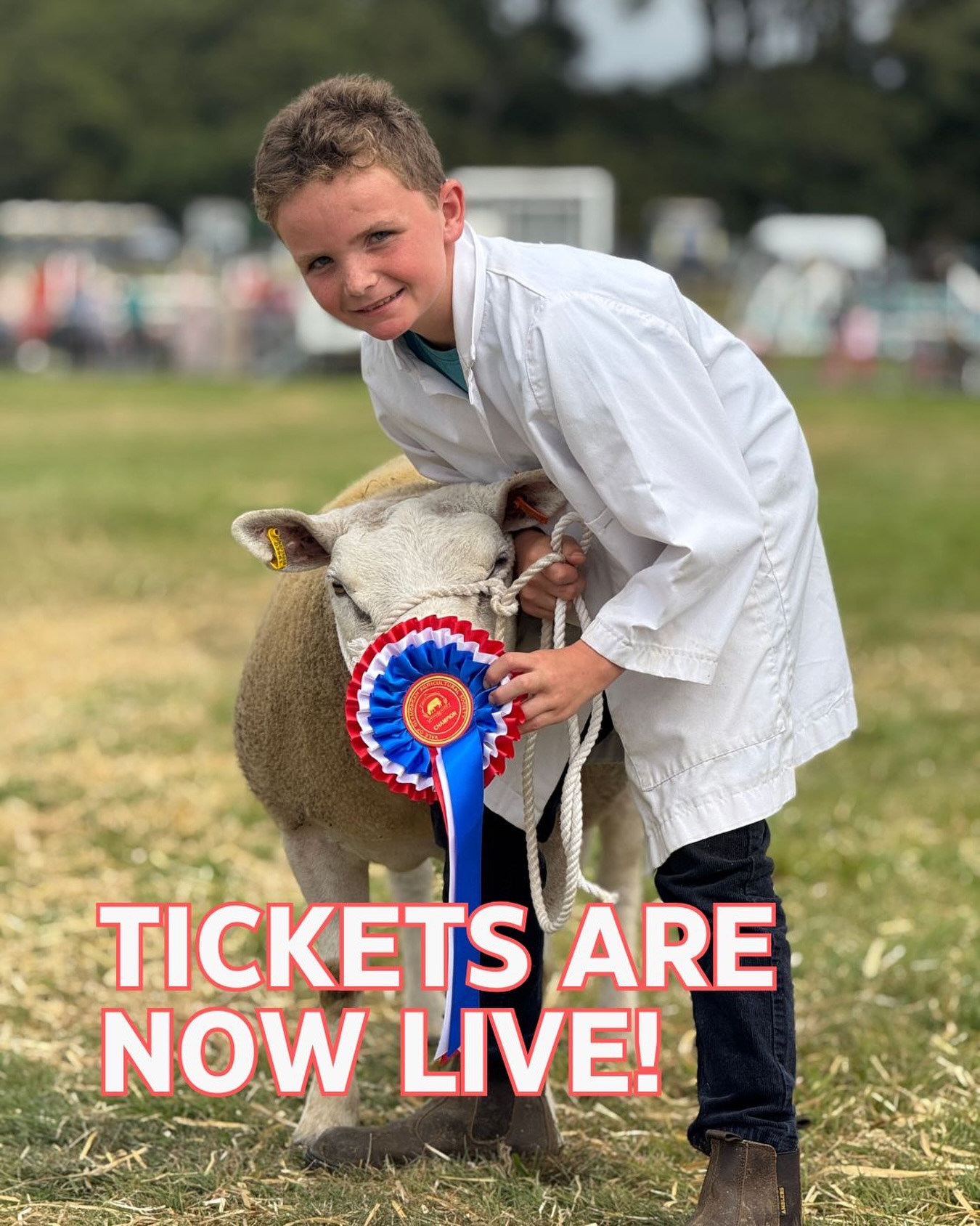 Vale of Glamorgan Agricultural Show | Visit The Vale